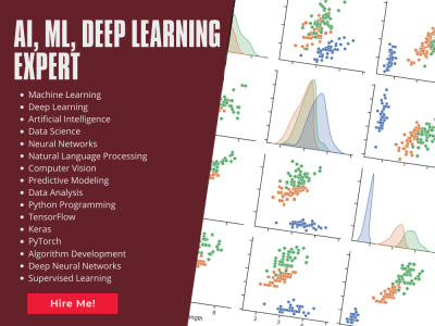 Expert in Machine Learning Deep Learning and AI | Proven Results | Hire ...