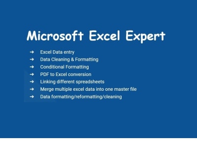 Excel VBA expert | Data analyst | Data cleaning | VBA Macros | Upwork