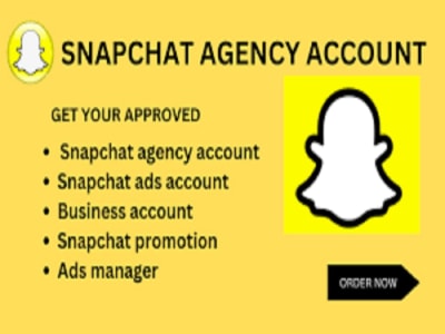 A premium set-up for your Snapchat promotion ads campaign | Upwork