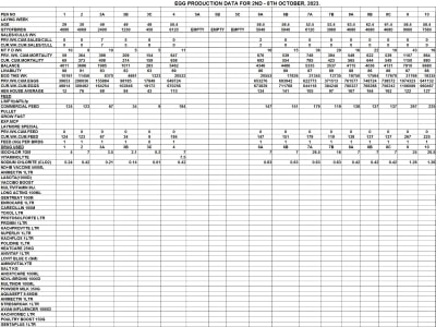 Data Entry, Typing, Copy Paste, Web Research, and PDF to Excel Conversion. | Upwork