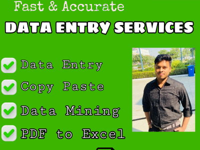 An accurate excel data entry | Upwork
