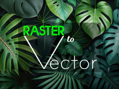 High resolution vector (SVG) from low res raster graphic. | Upwork