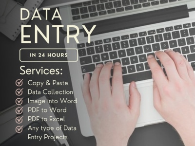 A high accuracy and well-structured data entry | Upwork