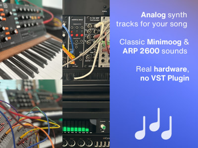 Virtuoso real analog synth parts for your song | Upwork