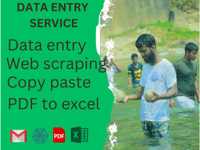 Data entry Excel data entry web scraping copy paste | Upwork