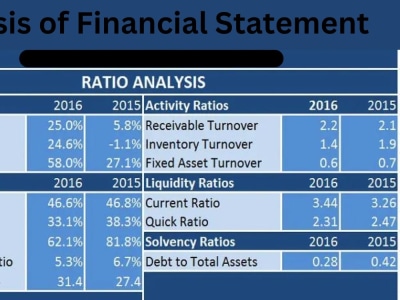 I will prepare an analysis of the financial statement, ratio analysis ...