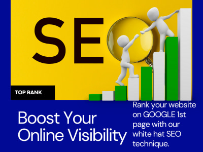 Experienced SEO/Google Ranking Expert, I will Increase your website ...