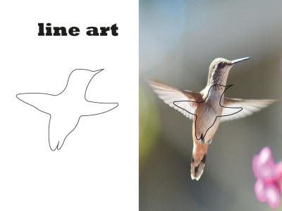 Awesome clean and smooth line drawings for all purposes. | Upwork