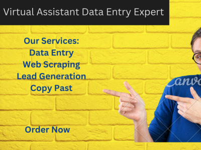 Virtual assistant for web research data entry, copy past, lead generation | Upwork