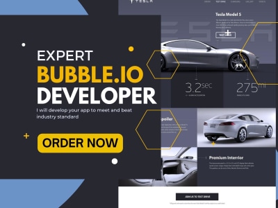 A professionally built web app using bubble.io | Upwork