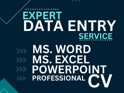 High-quality data entry work Excel, word and professional CV | Upwork
