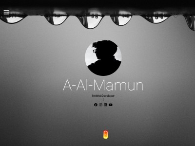 Portfolio design with raw front-end code | Upwork