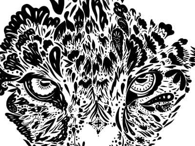 Vectorizing your images into artwork or Logo | Upwork