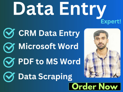 CRM Data Entry, Microsoft Word, Data Scraping and PDF to MS Word. | Upwork