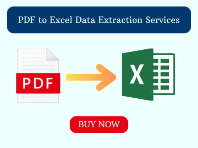 Efficient PDF to Excel Data Extraction Services | Upwork