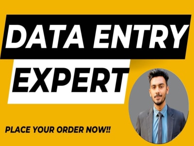 Accurately and fast data entry, copy-paste and PDF to Excel Professionally! | Upwork