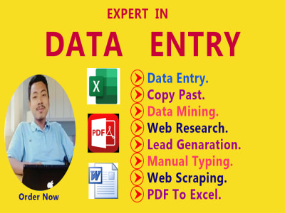 Virtual Assistant, Data Entry, Web Scraping, & Excel Sheet work I will ...