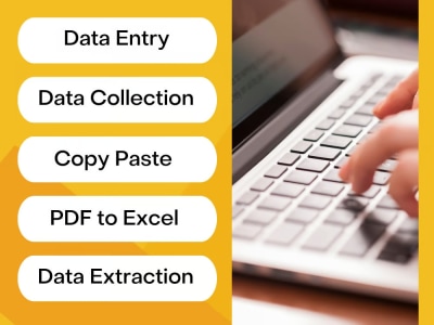 Data entry, Data Extraction, Copy-paste, and PDF to Excel services | Upwork