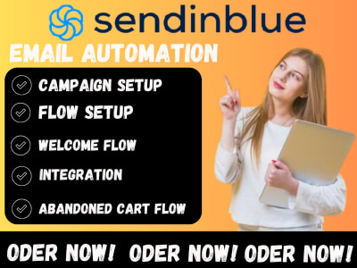 Sendinblue email marketing email campaign and automation | Upwork