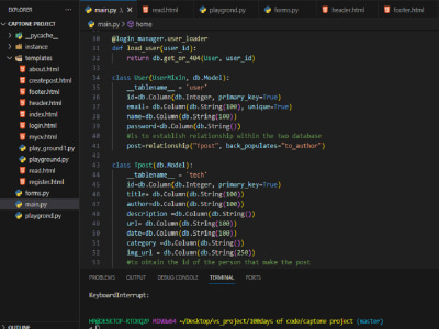 Vast Web development, Web database using Flask, Python, MongoDB, NodeJs C# | Upwork