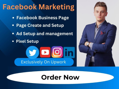 Professional facebook business page setup and sales ad campaign | Upwork