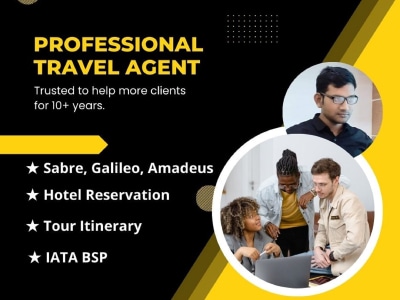 Remote Travel agent Expert for air flight, hotel, car searching ...