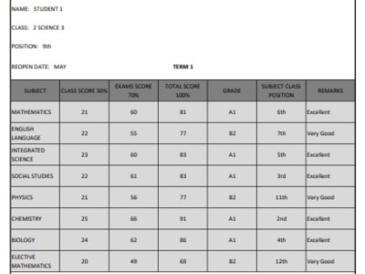 A simple and attractive student report for your class | Upwork