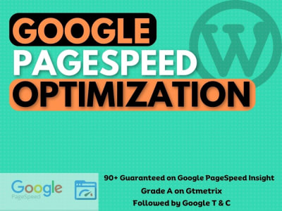 Google PageSpeed Optimization Expert, google pagespeed Insight ...