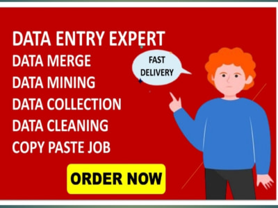 A excel data entry, data cleaning | Upwork