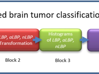 Brain Tumor Classification using Modified Local Binary Patterns (LBP ...