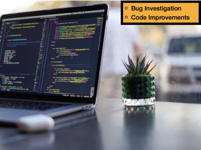 Expedited bug-fix solutions, and improved functionality for your project. | Upwork