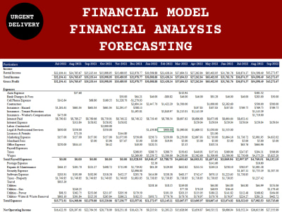 Financial Model, Forecasting and Financial Analysis | Upwork