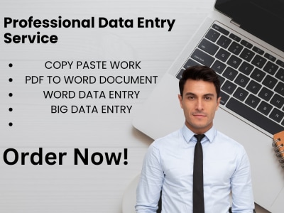 Streamlining Data Entry Processes for Optimal Accuracy and Performance | Upwork