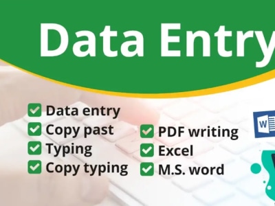 Fast & accurate data entry, type, word , excel, copy-paste, data mining ...