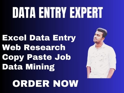 Data entry, data mining, web research, copy paste and Excel data entry jobs | Upwork
