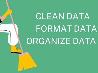 Professional excel data entry, data cleaning, and formatting service ...