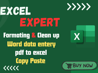 Professional & Quick Data Entry Services excel,word with 100% Accuracy | Upwork