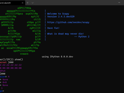 Your Python Scapy packet analysis task done. | Upwork