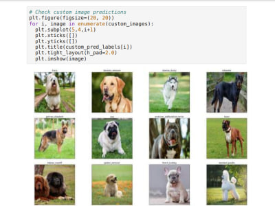Dog breed identification using deep learning | Upwork