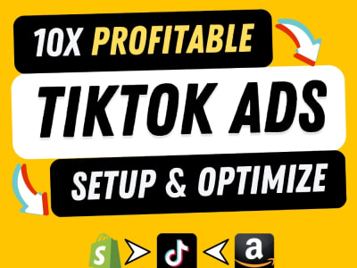 Setup tik tok ads campaign, tik tok ads, tiktok advertising | Upwork