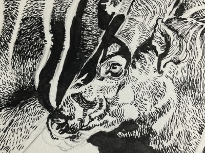 Traditional ink illustrations for your book project. | Upwork