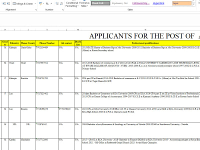 A well-organized Excel sheet and Word Document | Upwork
