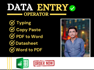 Data Entry Operator , Excel | Upwork