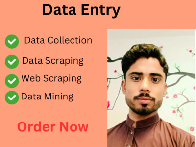 Data Entry | Data Collection | Data Scraping | Data Mining | Upwork
