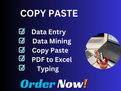 Flawless Copy-Paste Capabilities Data Entry | Upwork