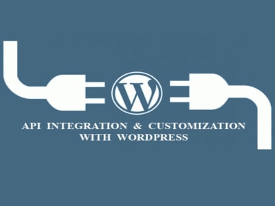 WordPress Theme and Plugin Customization and API Integration | Upwork