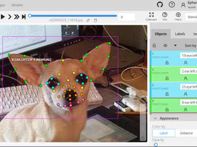 Image annotation, segmentation, bounding box, and all data labeling for ...