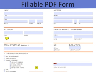 Attractive fillable pdf form | Upwork
