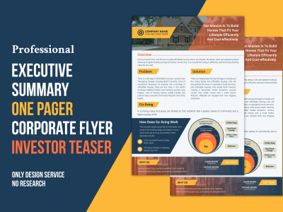 A executive summary, one pager, corporate flyer, investor teaser, or ...