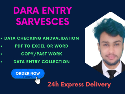 Data Processing Data Entry Excel | Upwork